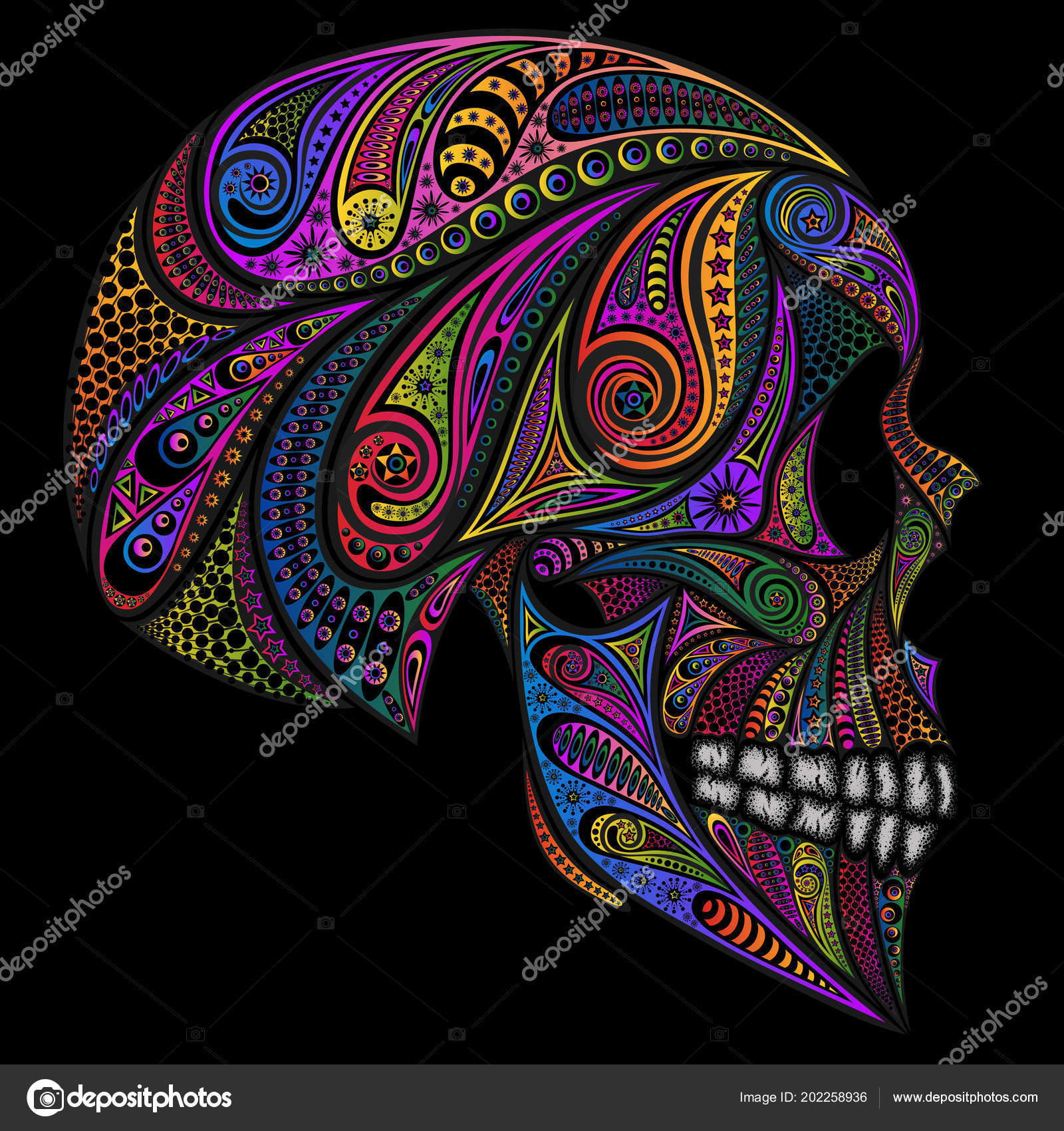 Colored Human Skull Various Patterns Black Background Stock Vector by ...