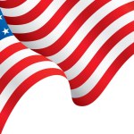 USA flag Stock Vector Image by ©Jut_13 #2996302