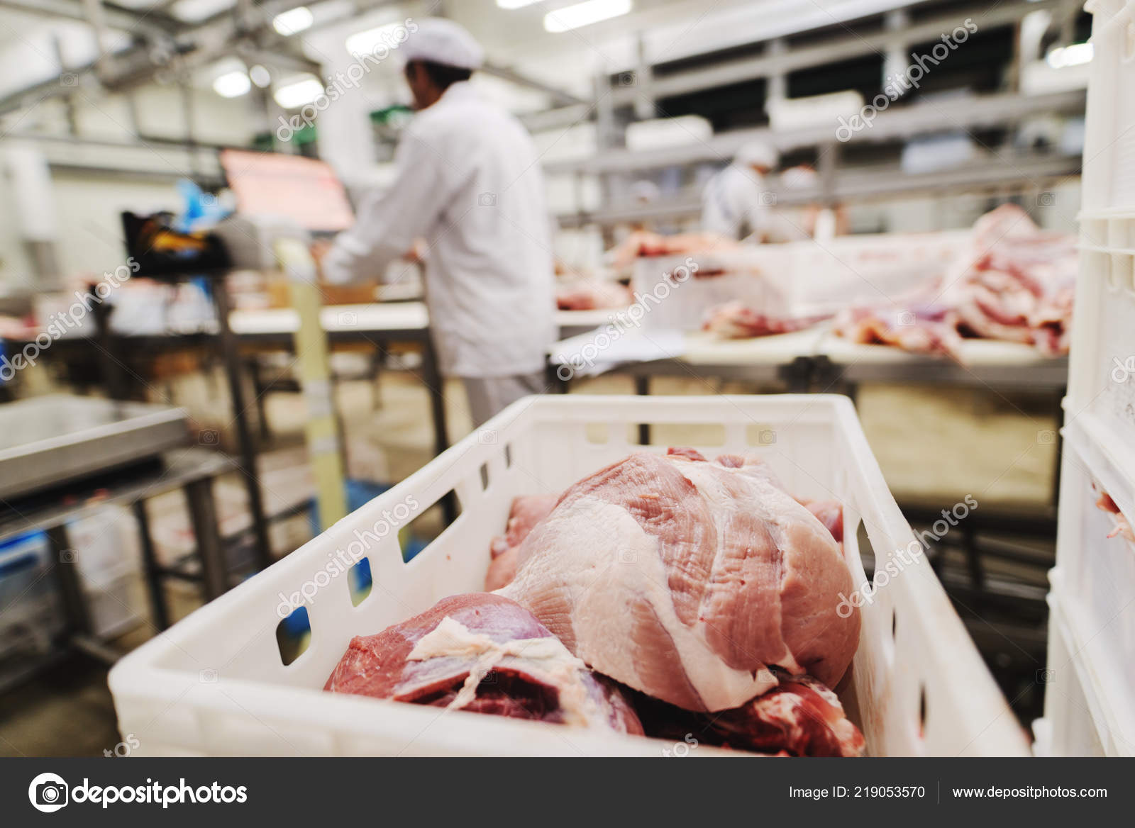 Workers Meet Industry Handle Meat Organizing Packing Shipping Loading ...