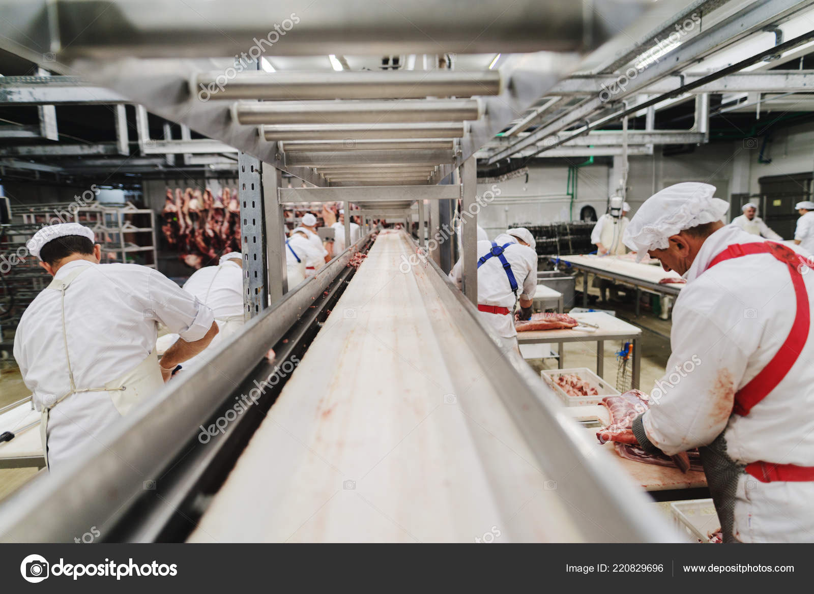 Workers Meet Industry Handle Meat Organizing Packing Shipping Loading ...