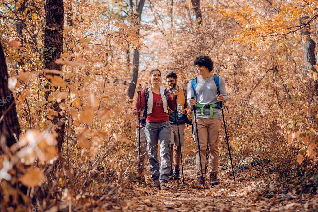 Senderistas explorando el bosque en otoño. Árboles y hojas caídas ...