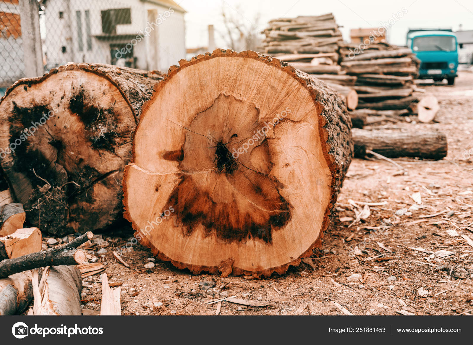Picture Big Log Sawmill Background Logs Pile Stock Photo by ...