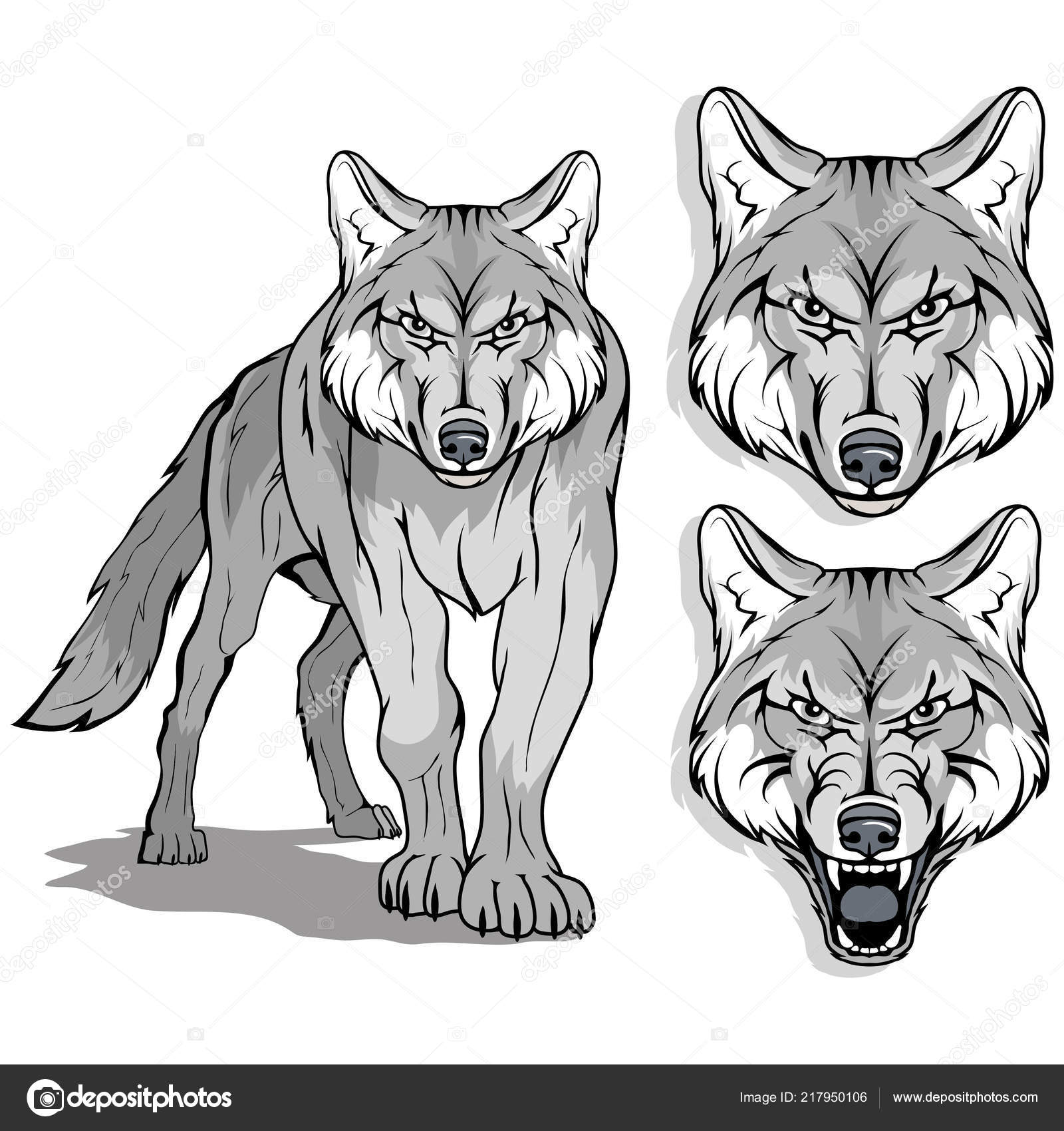 Vicious Wolf Drawing