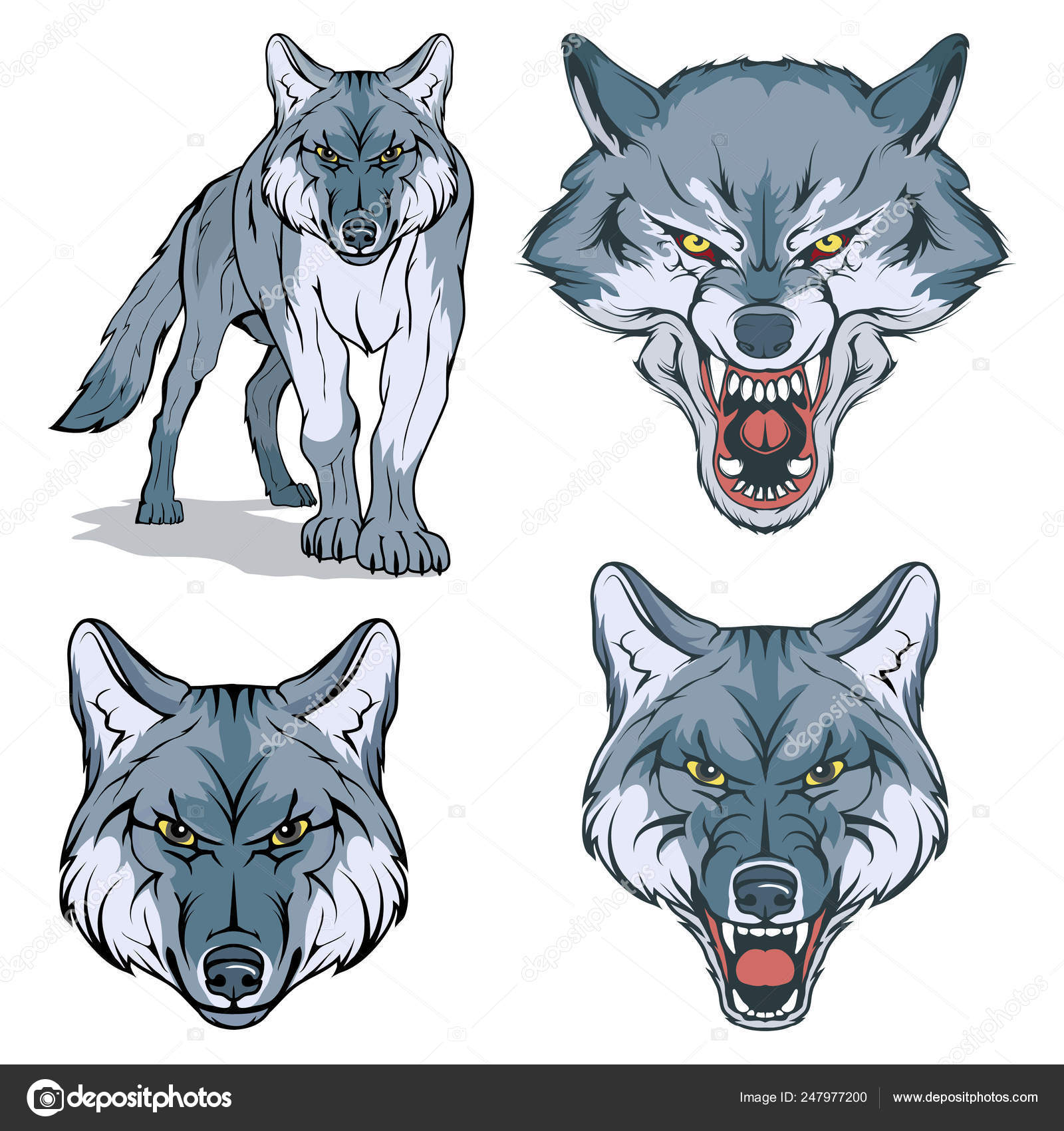 Conjunto de vetor lobo, gráfico vetorial para projetar imagem vetorial ...