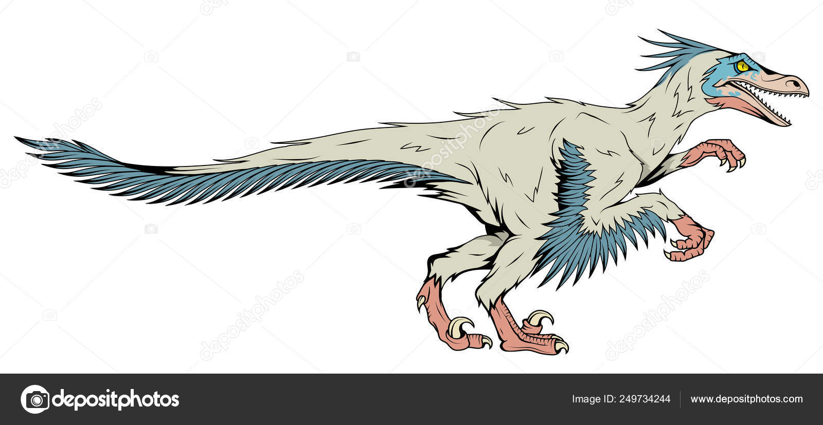 Velociraptor con plumas, dinosaurio fósil, animales prehistóricos ...