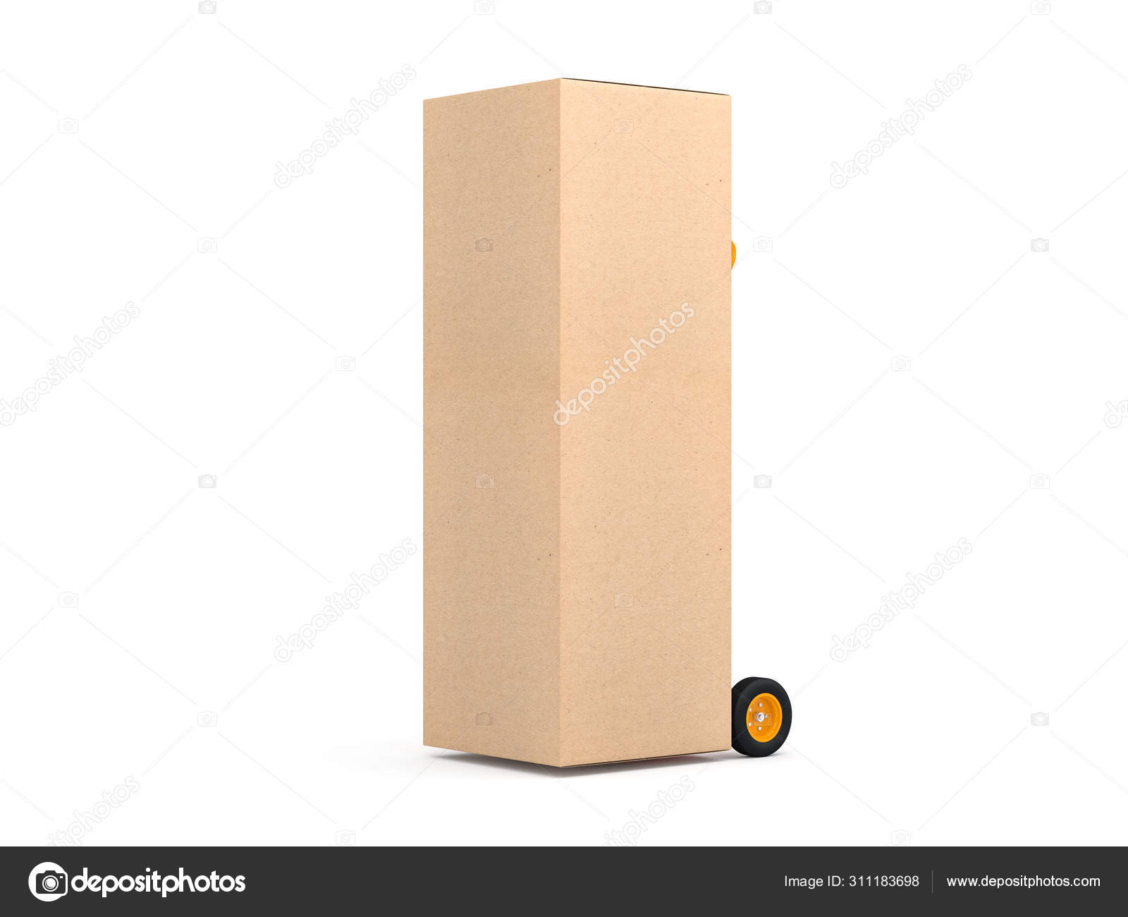 Tall Cardboard Box