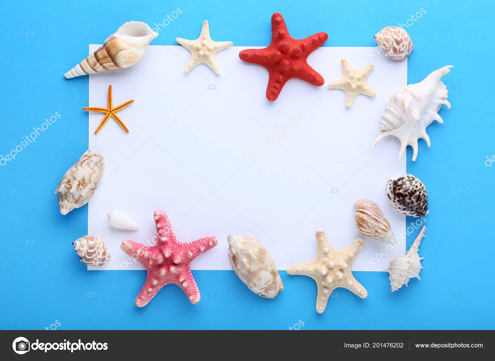 Hoja Papel Blanco Con Conchas Marinas Sobre Fondo Azul — Foto de stock ...