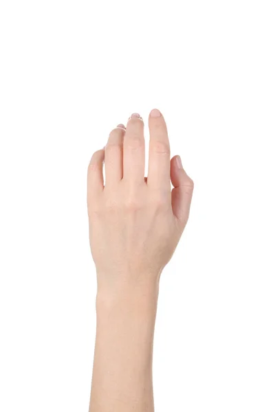 Manos fondo blanco fotos de stock, imágenes de Manos fondo blanco sin ...