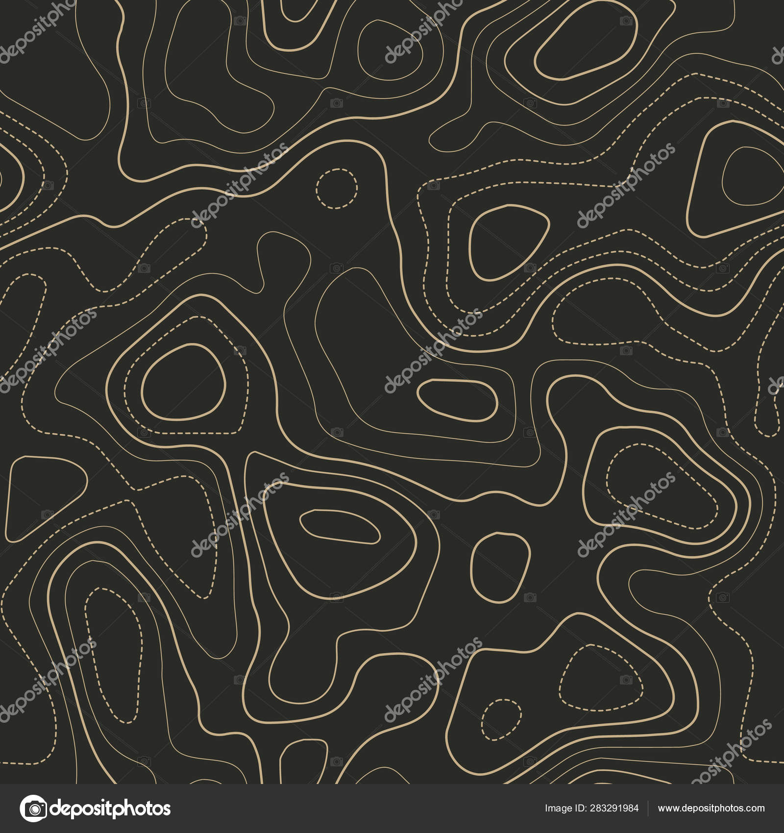 Topographic map Actual topography map Seamless design Bold tileable ...