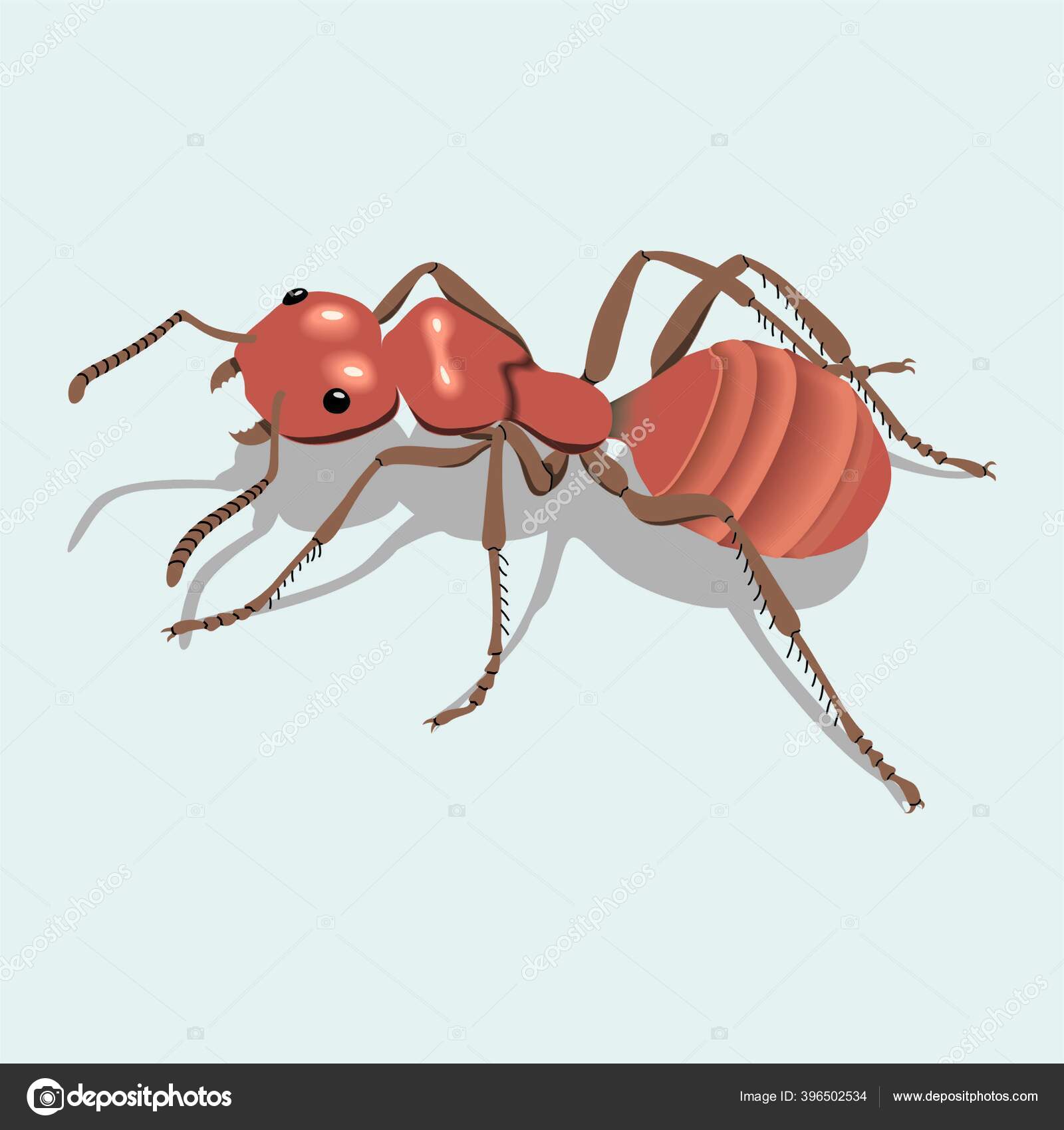 Illustration Concept Drawing Insect Ant Stock Photo by ©kassim1964 ...