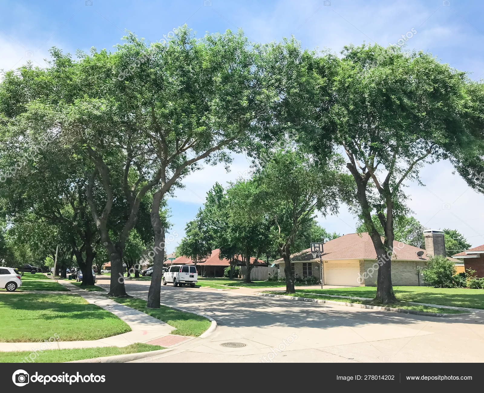 Quite neighborhood with tall trees canopy, pathway and single family ...