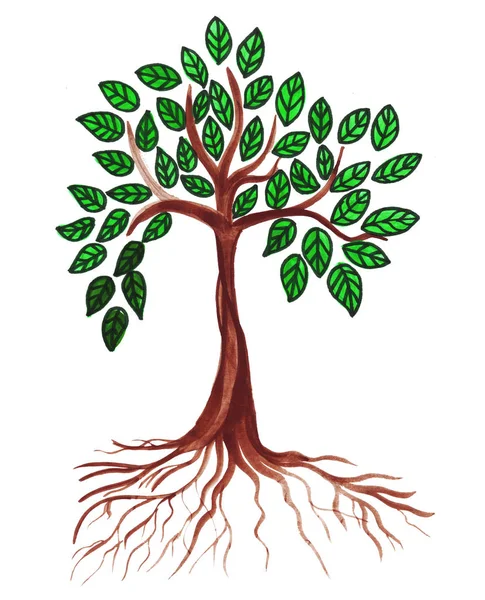 Peepal Tree Drawing