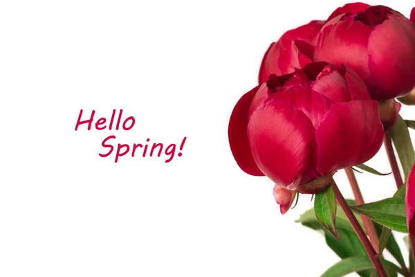 Happy friday spring Stock Photos, Royalty Free Happy friday spring ...