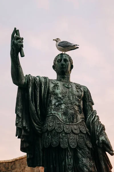 Memes sobre historia Stock Photos, Royalty Free Memes sobre historia ...