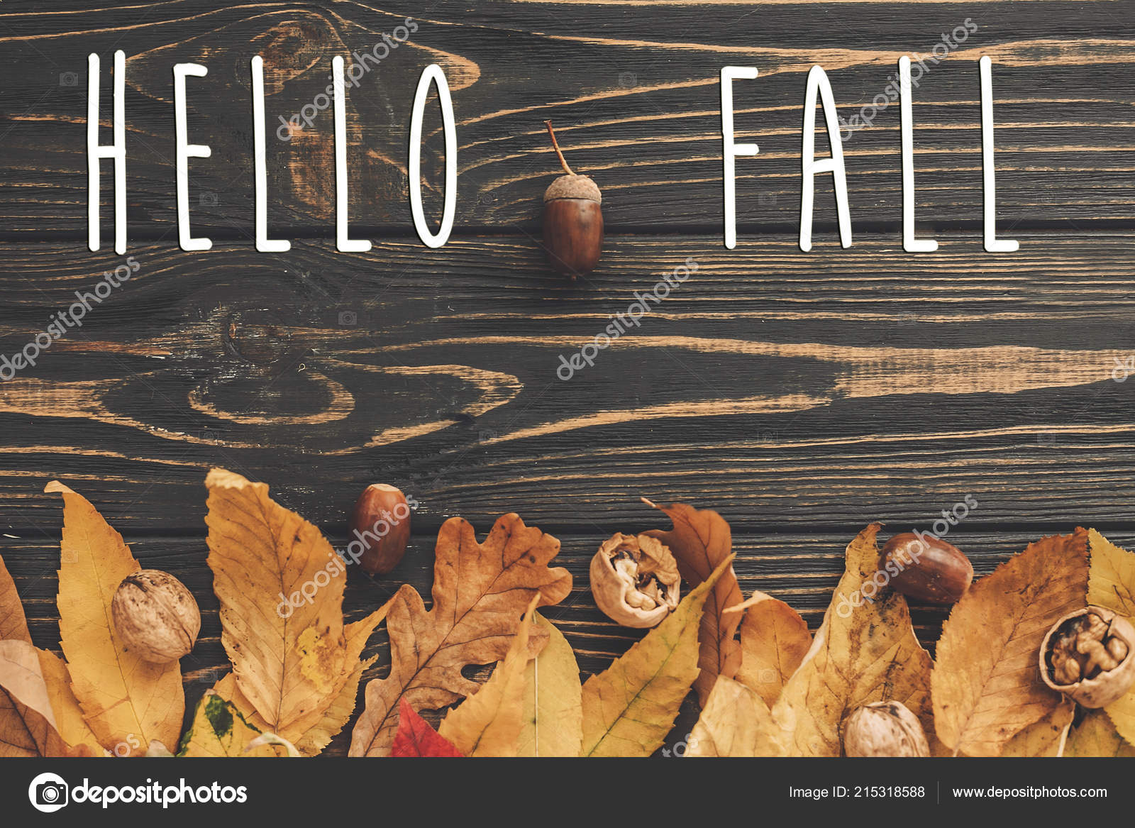 Hello Fall Text Hello Autumn Sign Bright Colorful Autumn Leaves — Stock ...