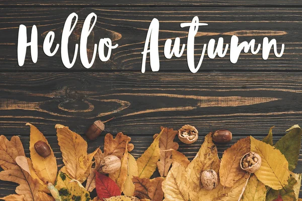 Hello Fall Text Hello Autumn Sign Bright Colorful Autumn Leaves — Stock ...