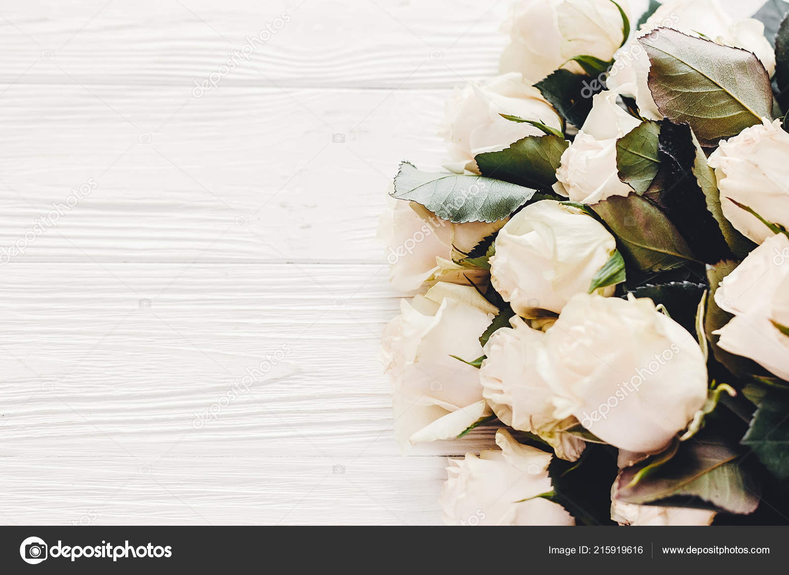 flower photo greeting card White rose Stationery nordicid.com