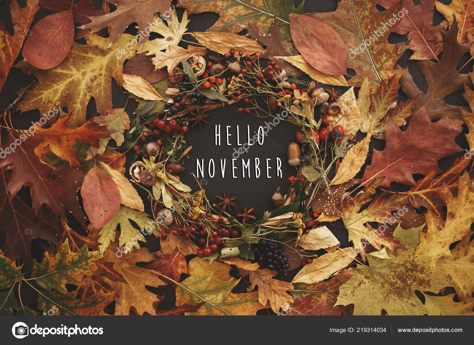 November Falling Leaves