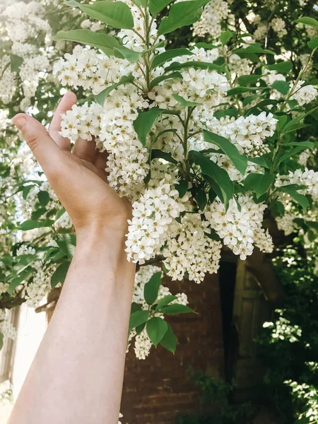 Mayday park Stock Photos, Royalty Free Mayday park Images | Depositphotos