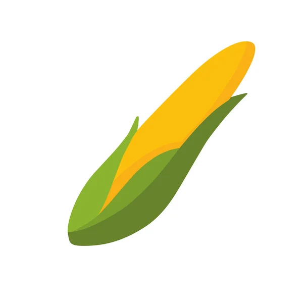 100,000 Sweet corn Vector Images | Depositphotos