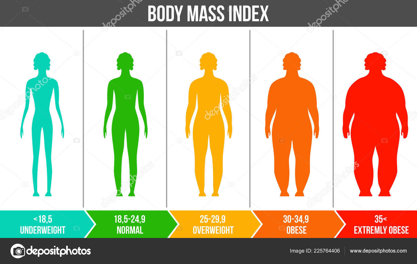 Creative vector illustration of bmi, body mass index infographic chart ...