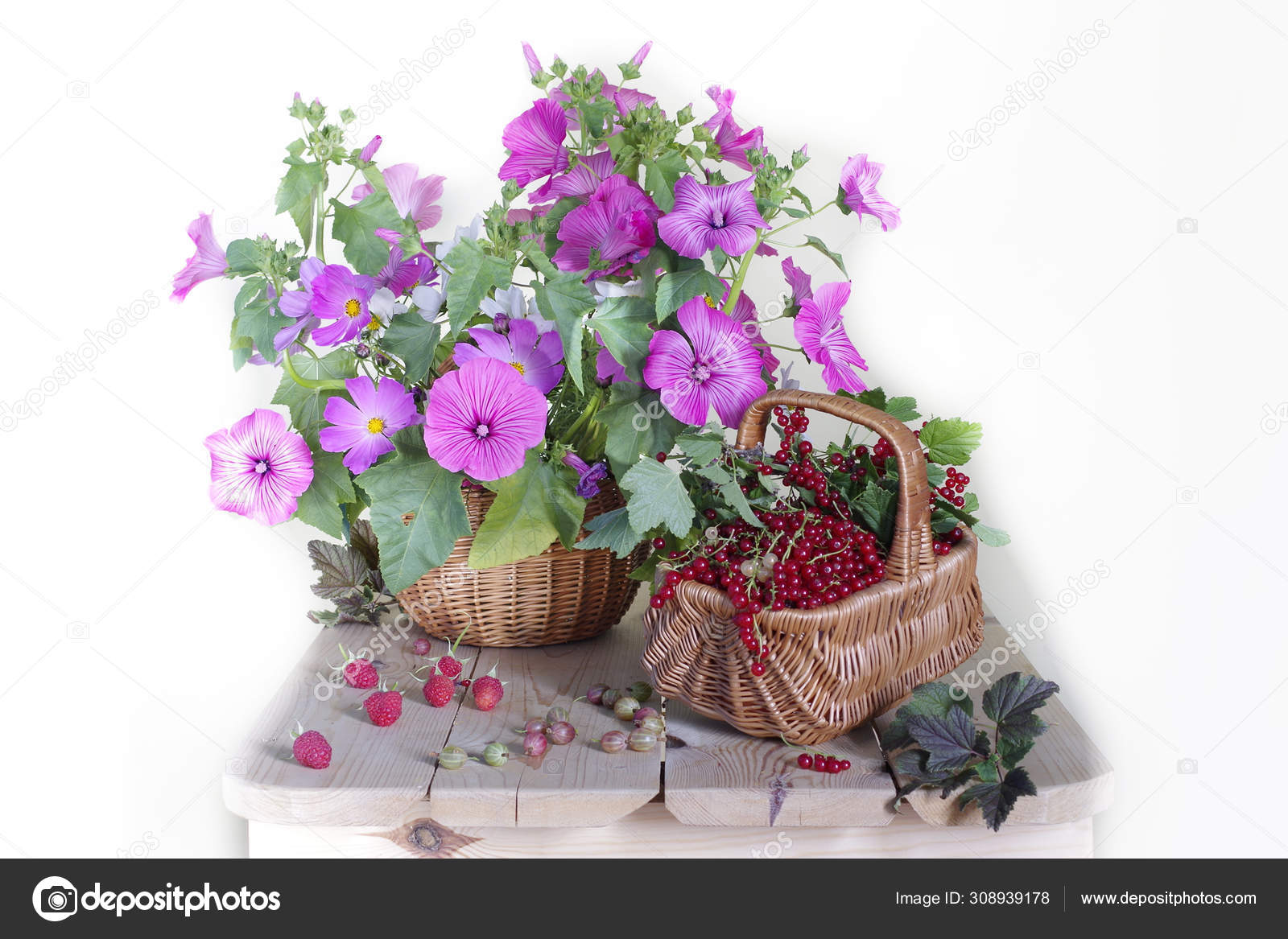 Bodegón Con Flores Rosas Jarrón Aislado Sobre Fondo Blanco — Foto de ...