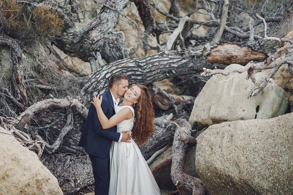 Family tree roots Stock Photos, Royalty Free Family tree roots Images ...