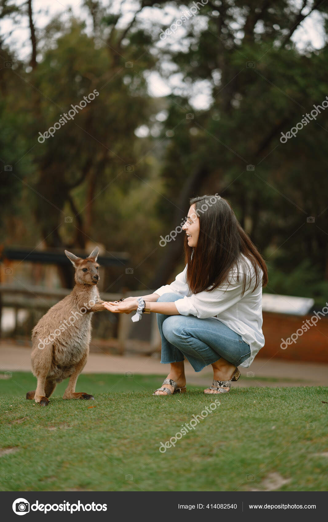 Woman at a reserve is playing with a kangaroo — Stock Photo ...