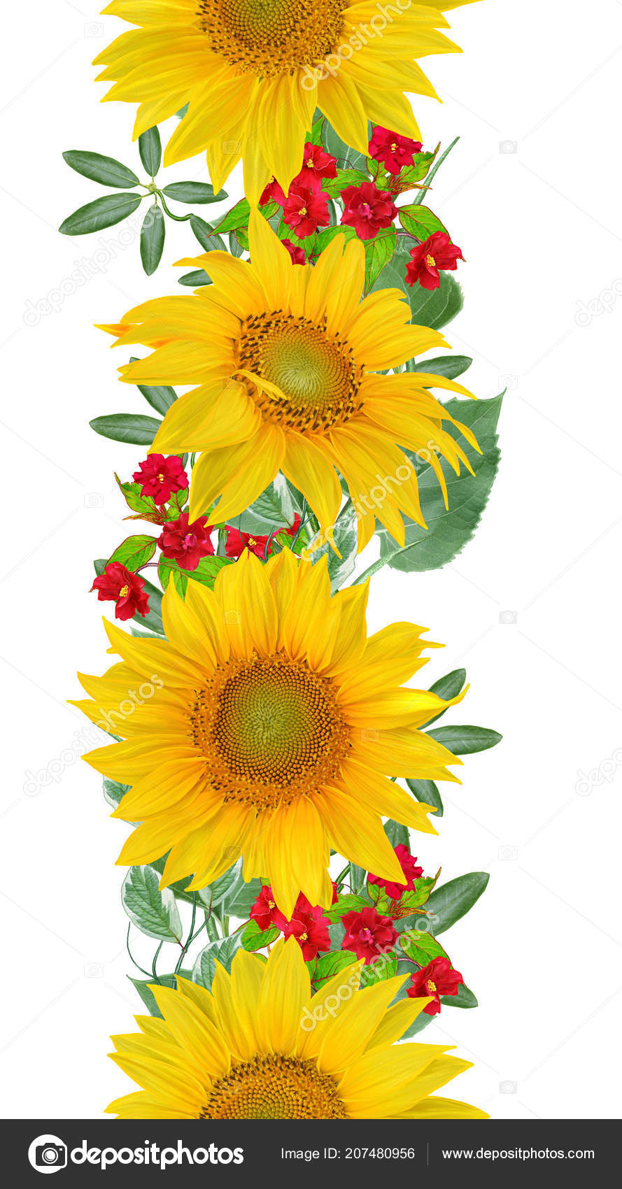 Flowers Vertical Border