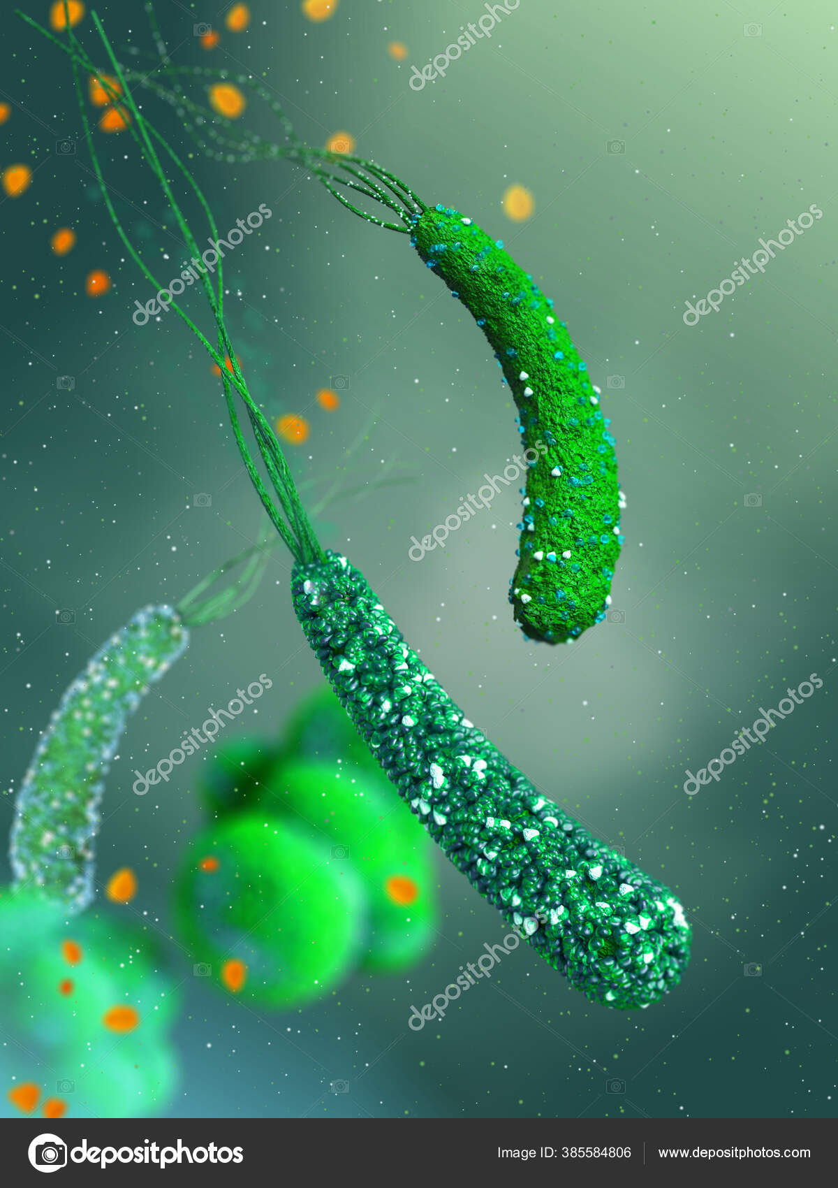 Dangerous Pathogenic Bacteria Helicobacter Pylori Pathogen Stomach ...