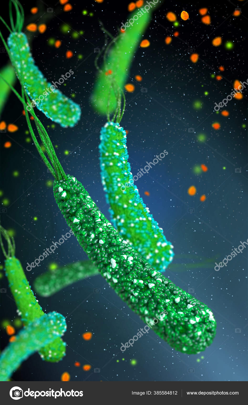 Dangerous Pathogenic Bacteria Helicobacter Pylori Pathogen Stomach ...