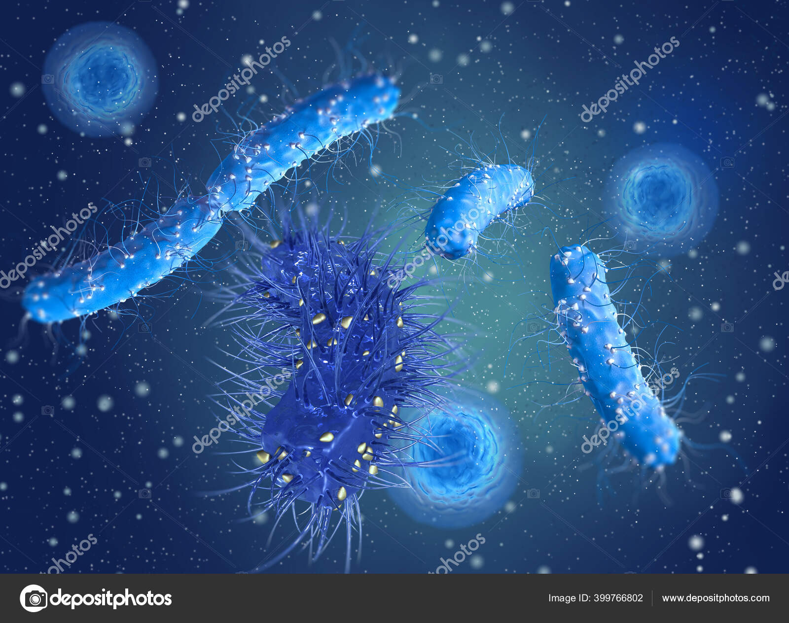 Dangerous Pathogenic Bacteria Escherichia Coli Colibacillus Pathogen ...