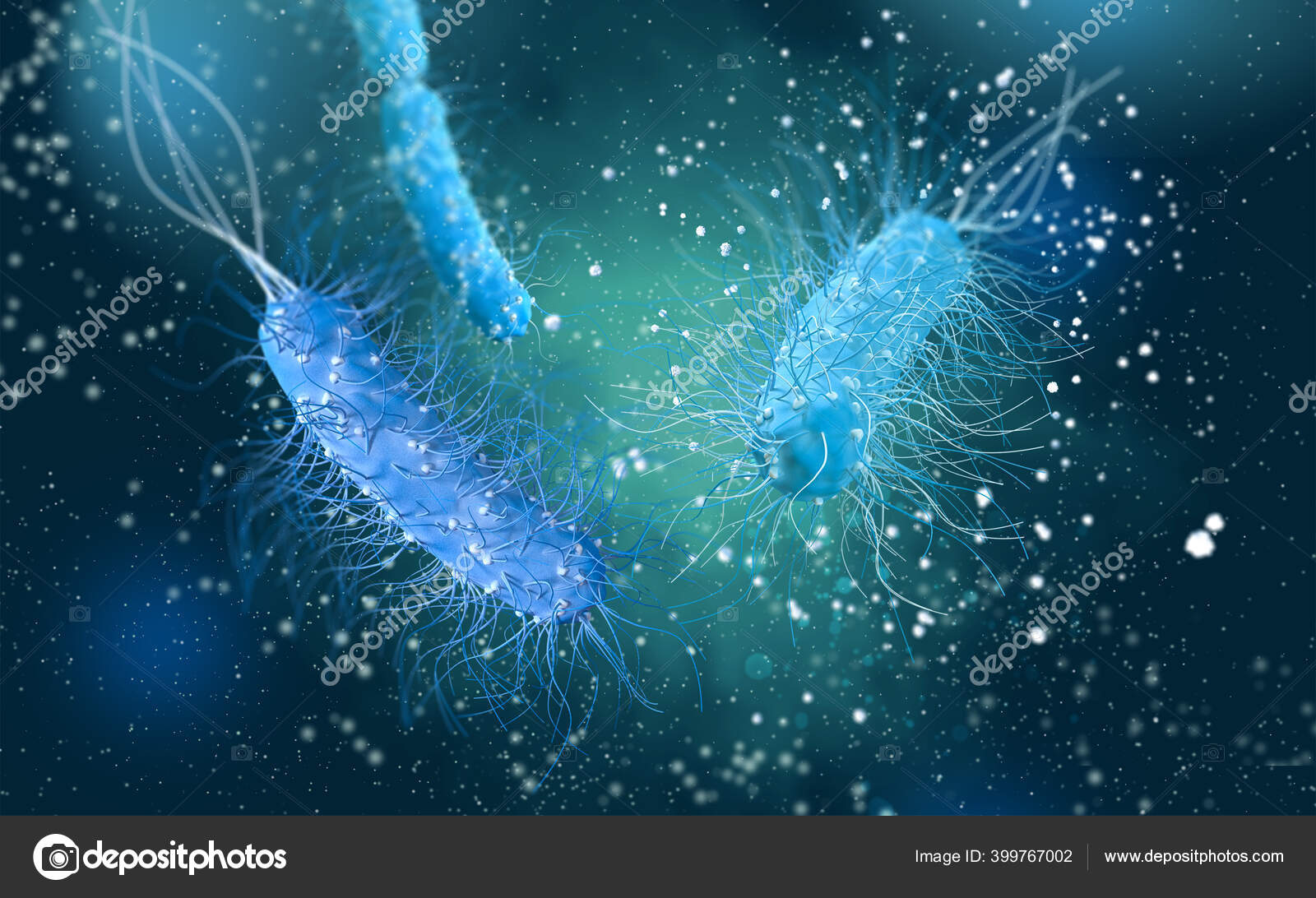 Dangerous Pathogenic Bacteria Escherichia Coli Colibacillus Pathogen ...