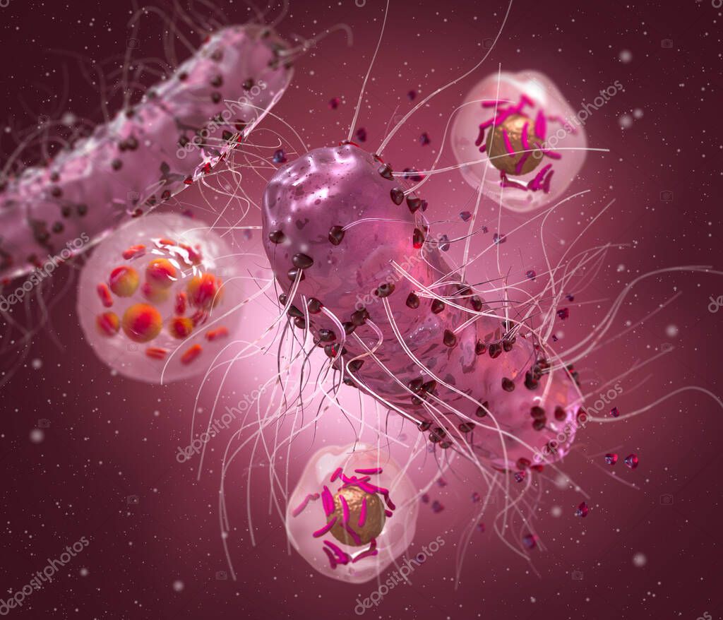 Bacterias patógenas peligrosas Escherichia coli, colibacillus, patógeno ...