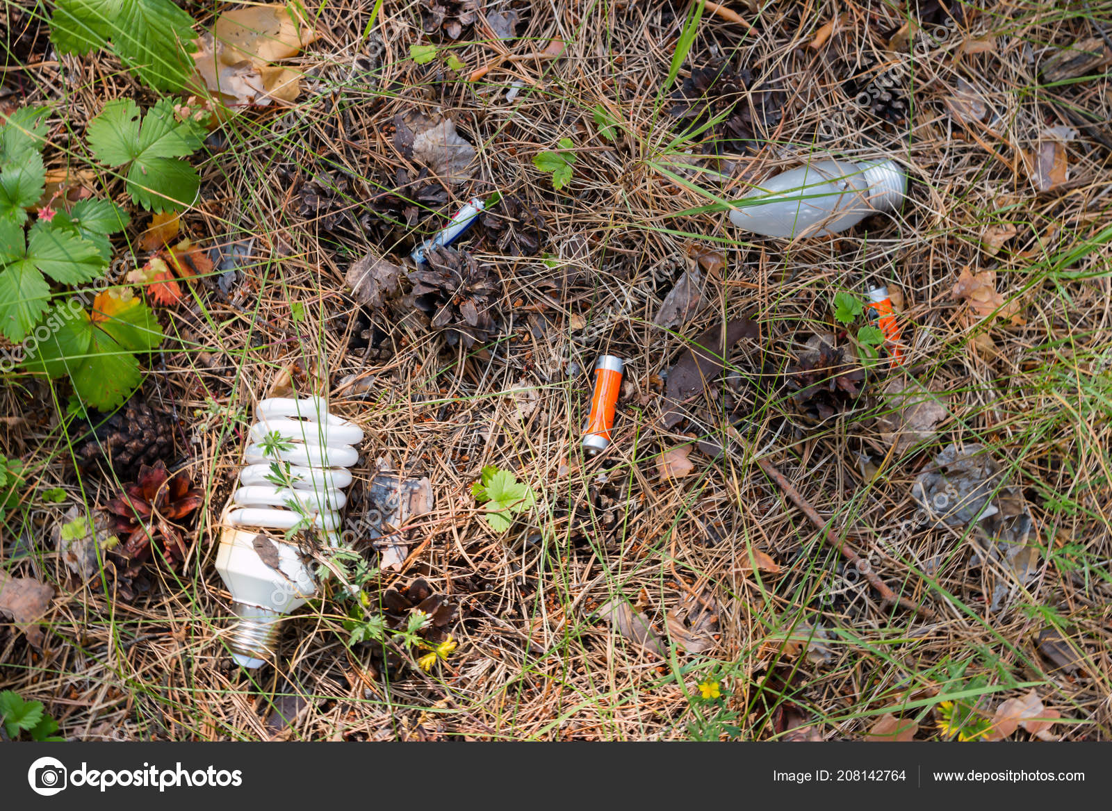 Light Bulb Batteries Dangerous Garbage Forest Environmental Pollution ...