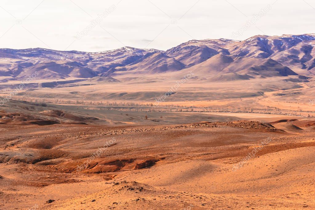Llanura estepa con arena amarilla. Tierra amarilla bajo el sol caliente ...