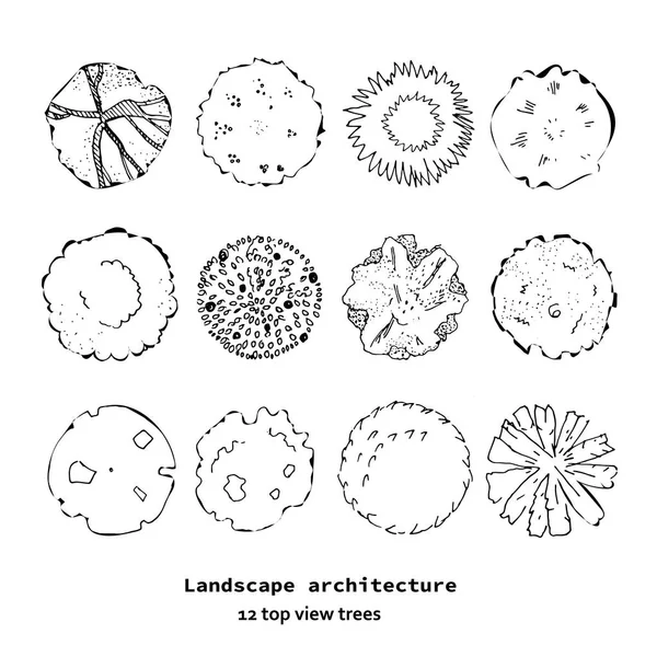 A set of tree silhouettes , for architectural or landscape desig Stock ...