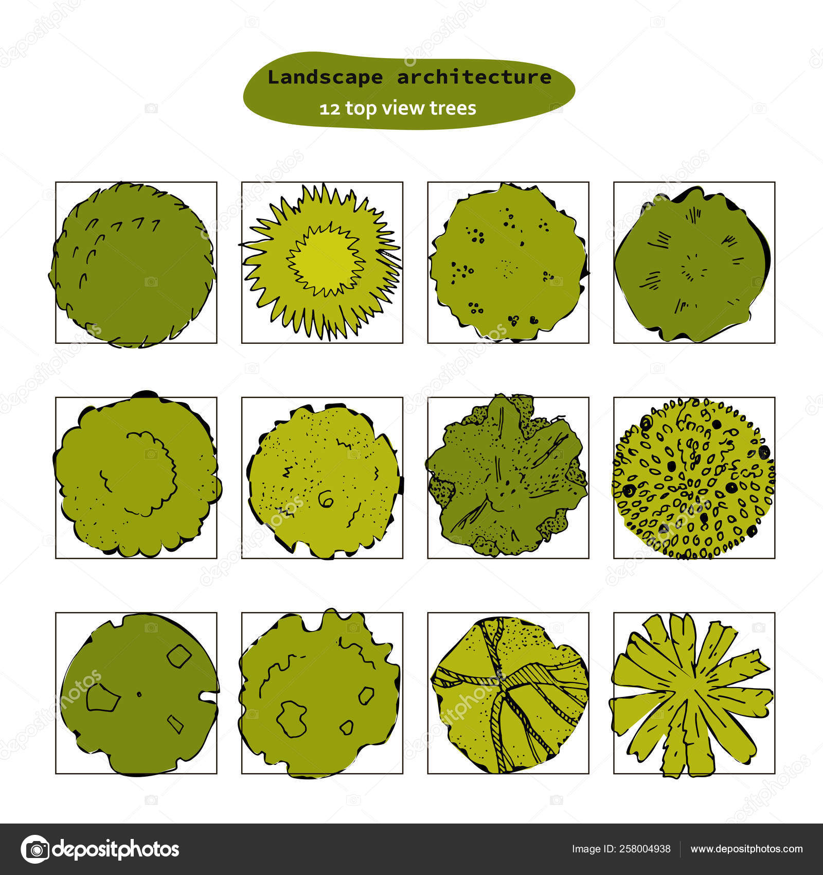 Top view vector set of different green trees.Hand drawn illustration ...