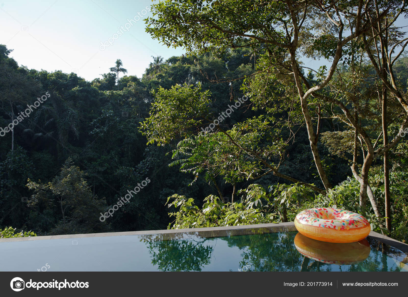 Inflatable Ring Tropic Jungle Pool — Stock Photo © UA_pm #201773914