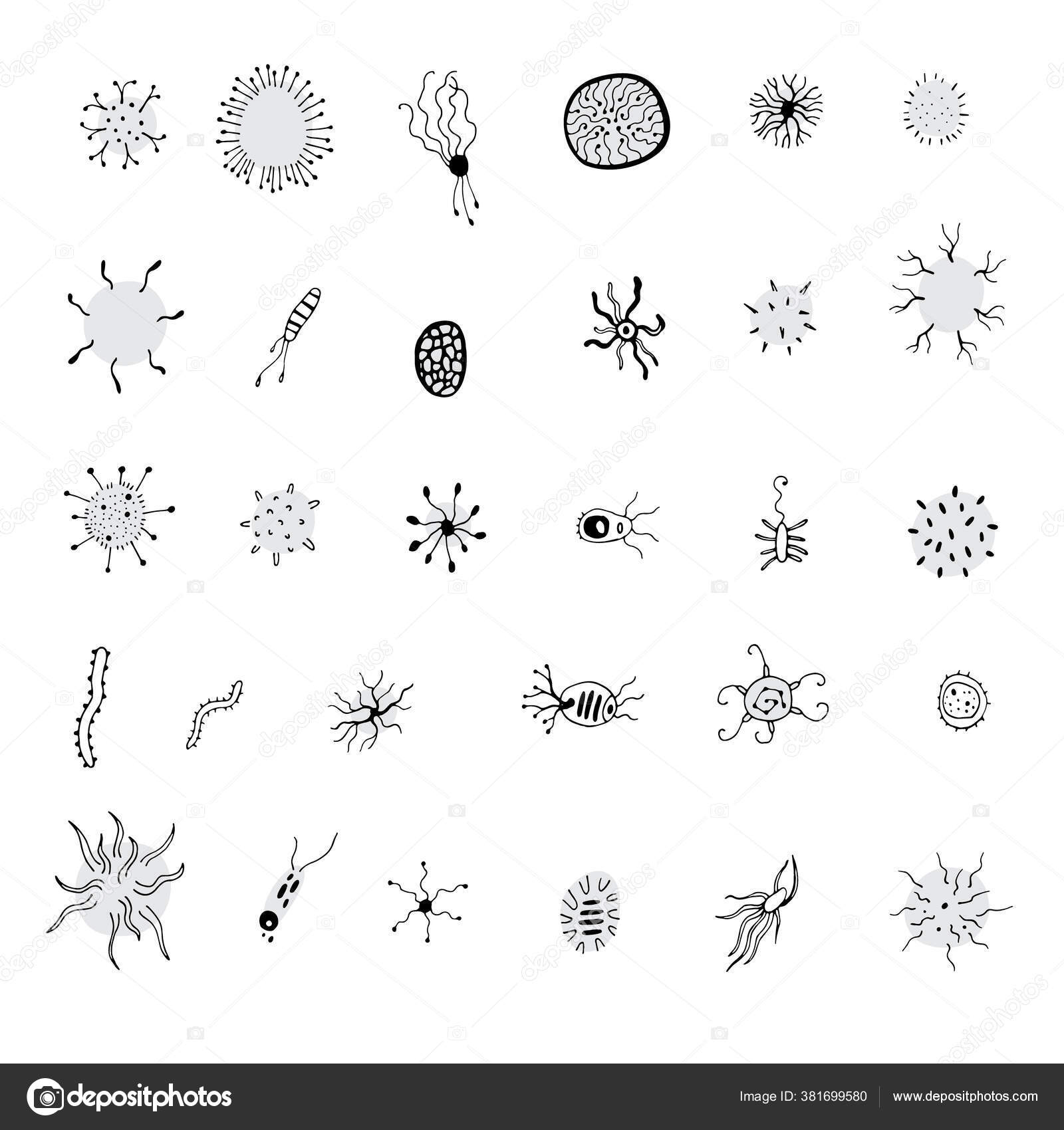 Set Hand Drawn Doodles Bacteria Viruses Cells Stock Vector by ©Insh1na ...