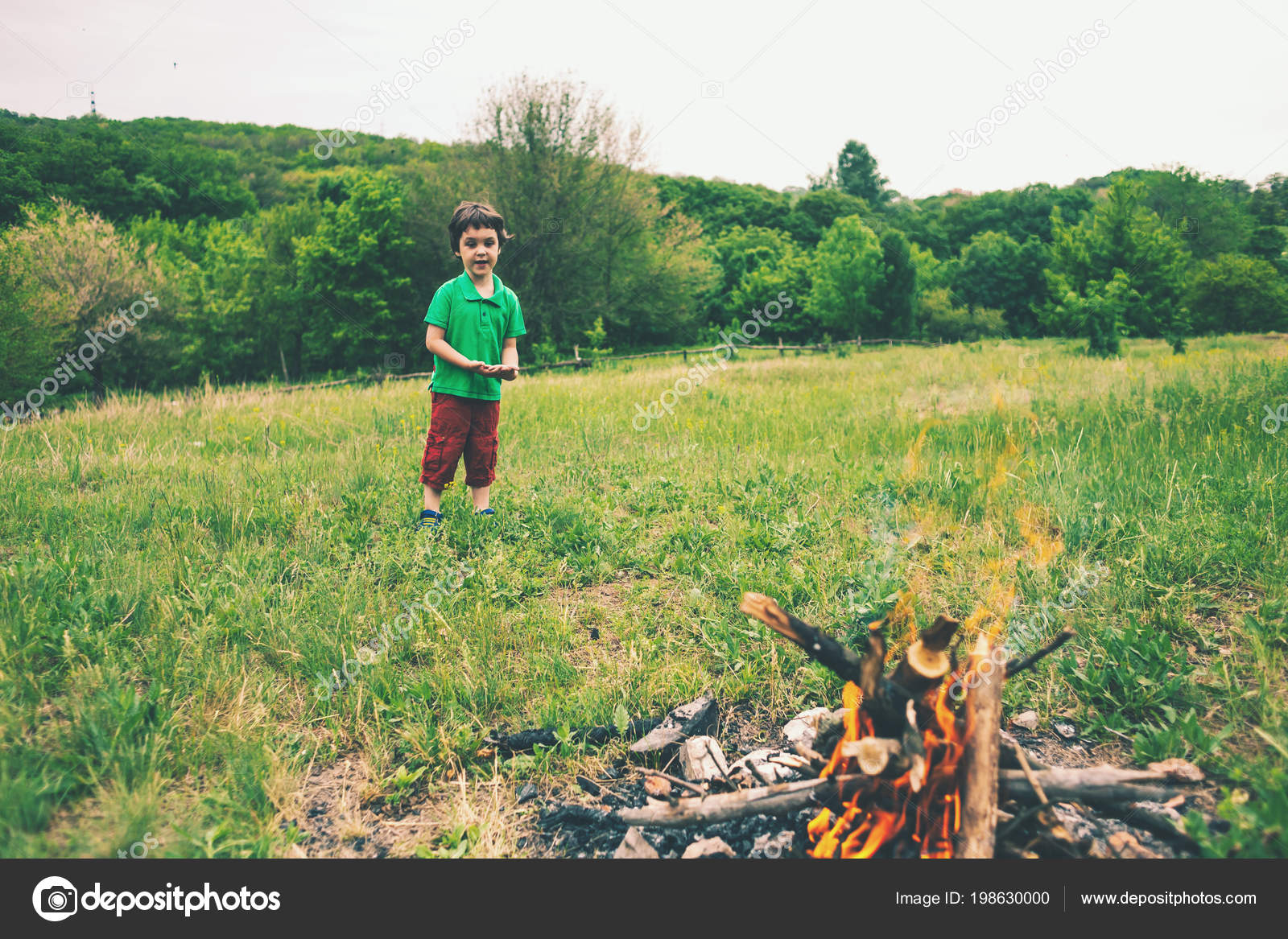 Boy Standing Fire Child Collects Firewood Bonfire Camping Nature Picnic ...