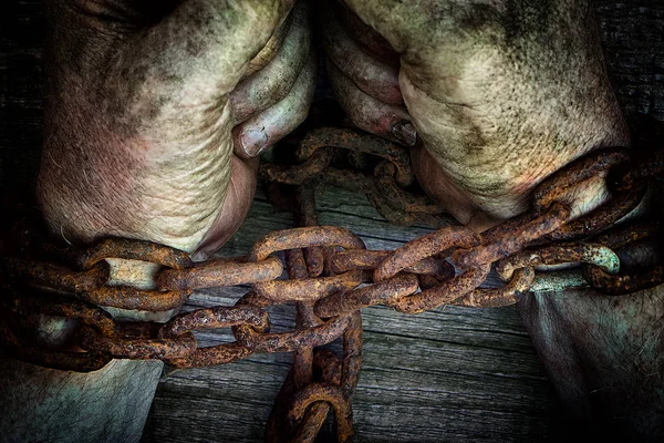Breaking shackles Stock Photos, Royalty Free Breaking shackles Images ...