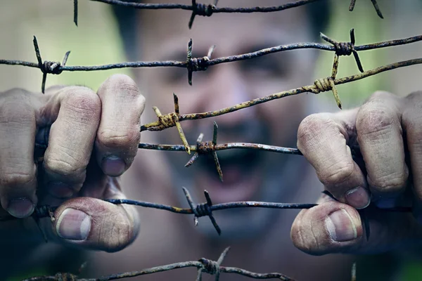 Screaming man trying to break the barbed wire with his hands - Stock ...