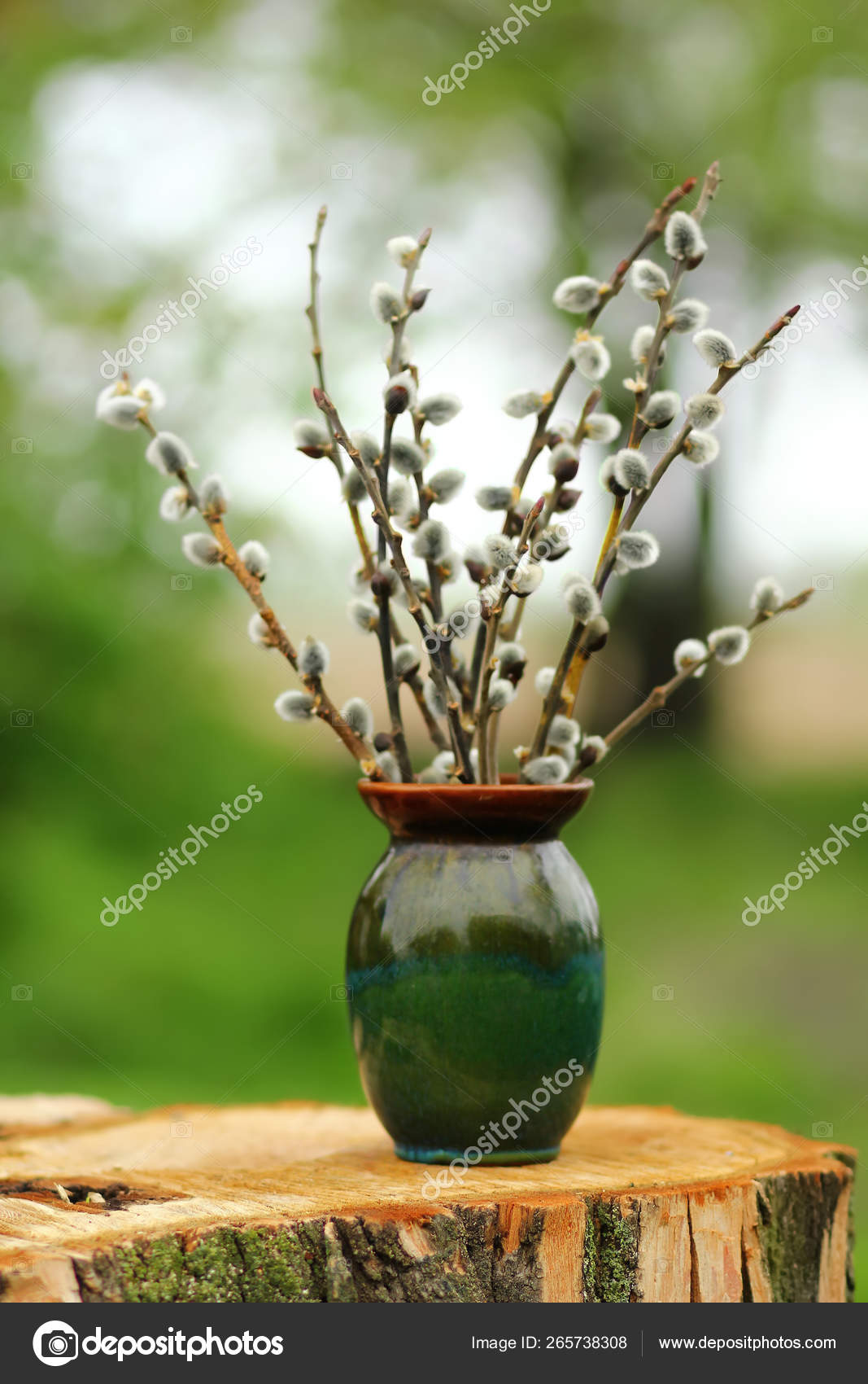 Pussy Willows In Vase