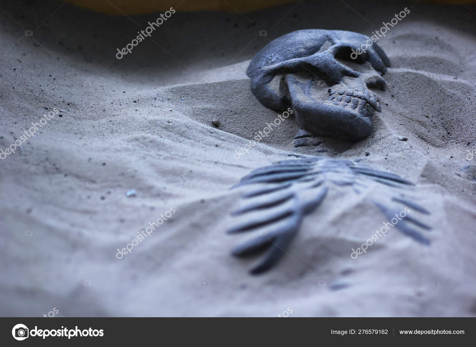 Closeup Excavated Skeleton Dummy Lying Sand — Stock Photo © Mr_Ptica ...