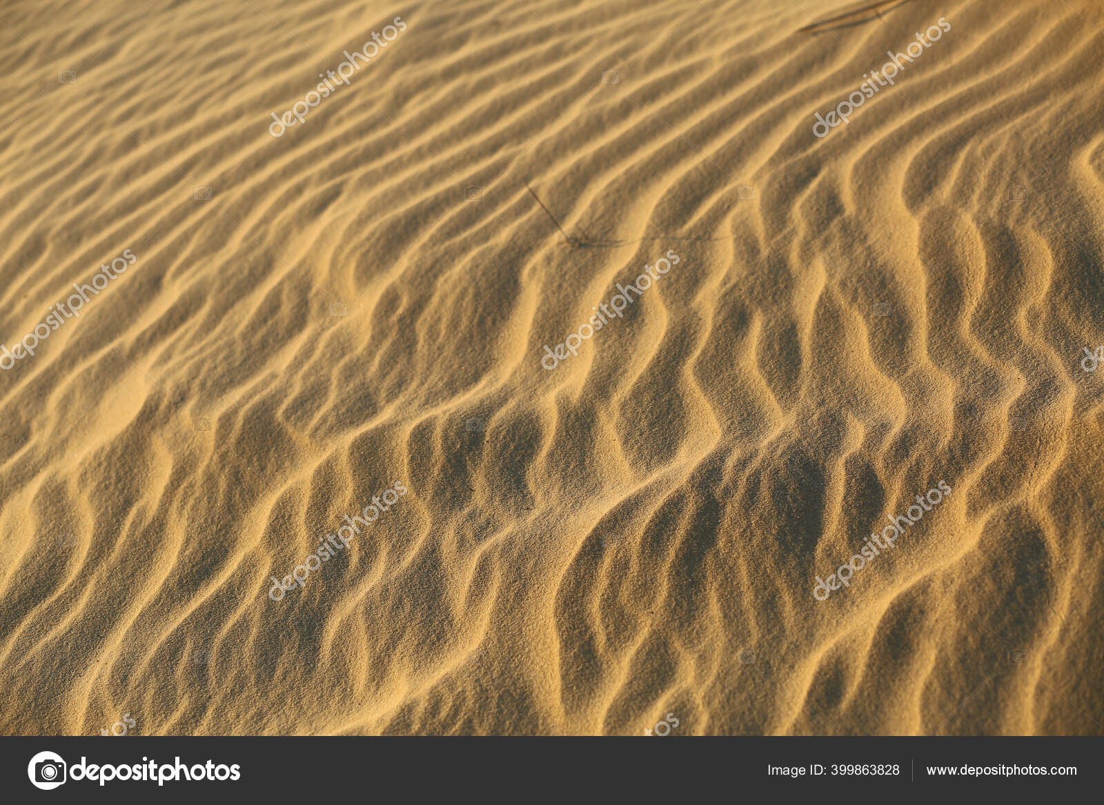 Sand Dunes Texture