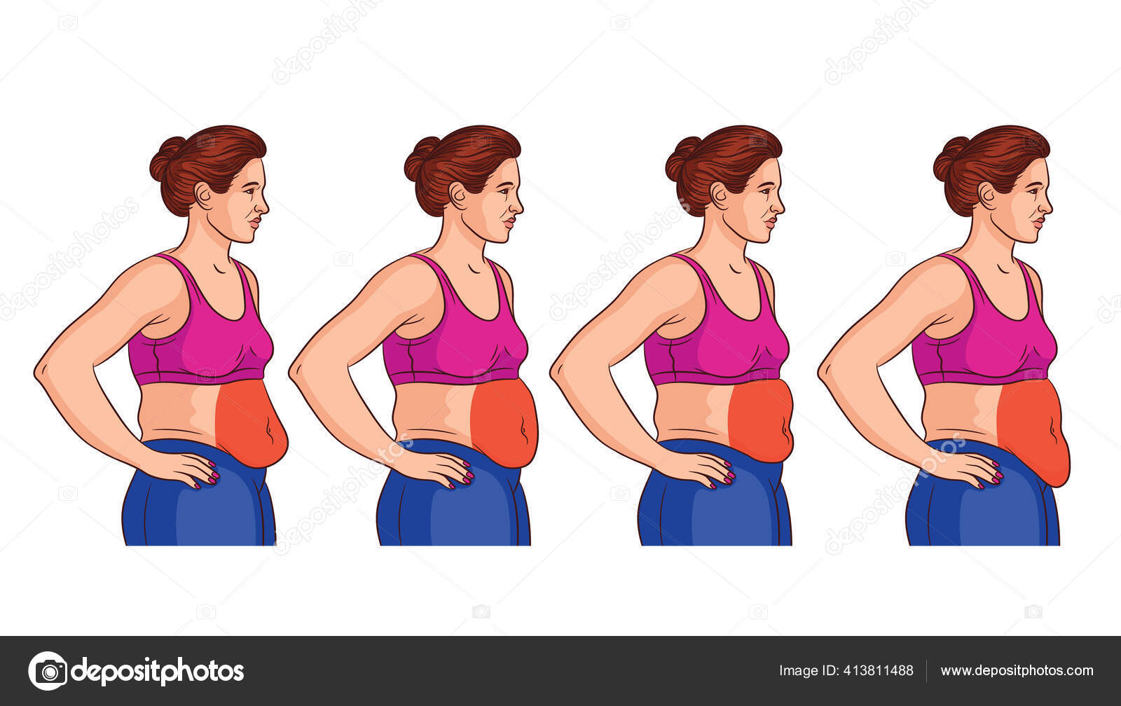 Color Vector Illustration Isolated White Background Four Types Belly ...