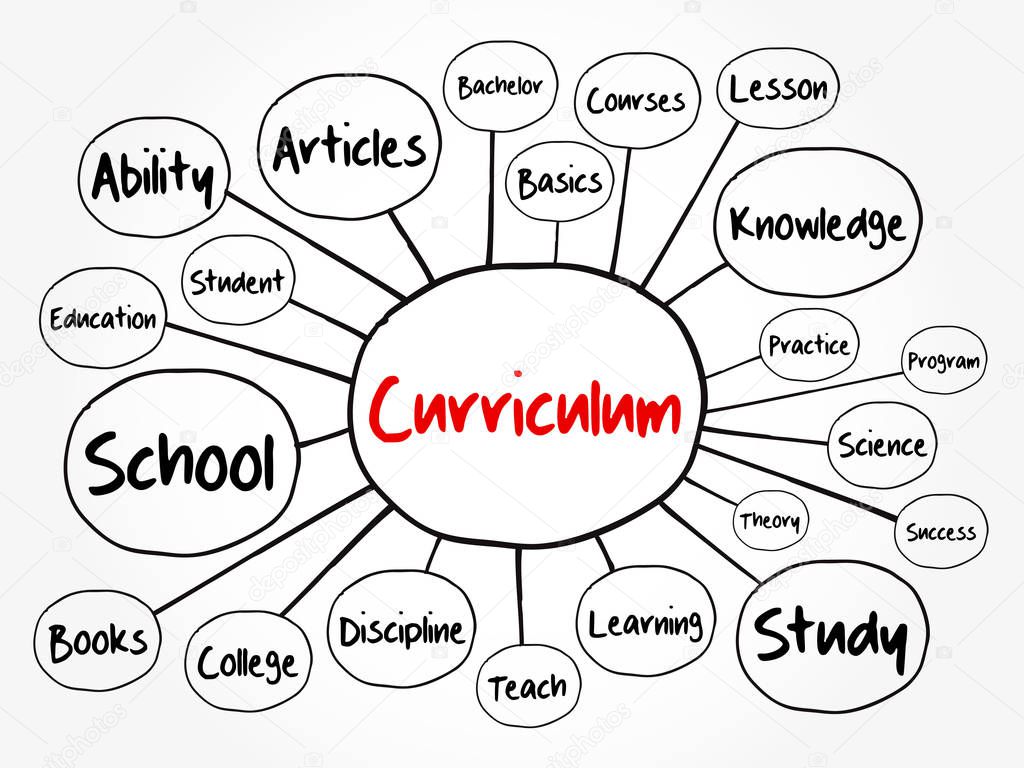 Curriculum mind map flowchart, education concept for presentations and ...