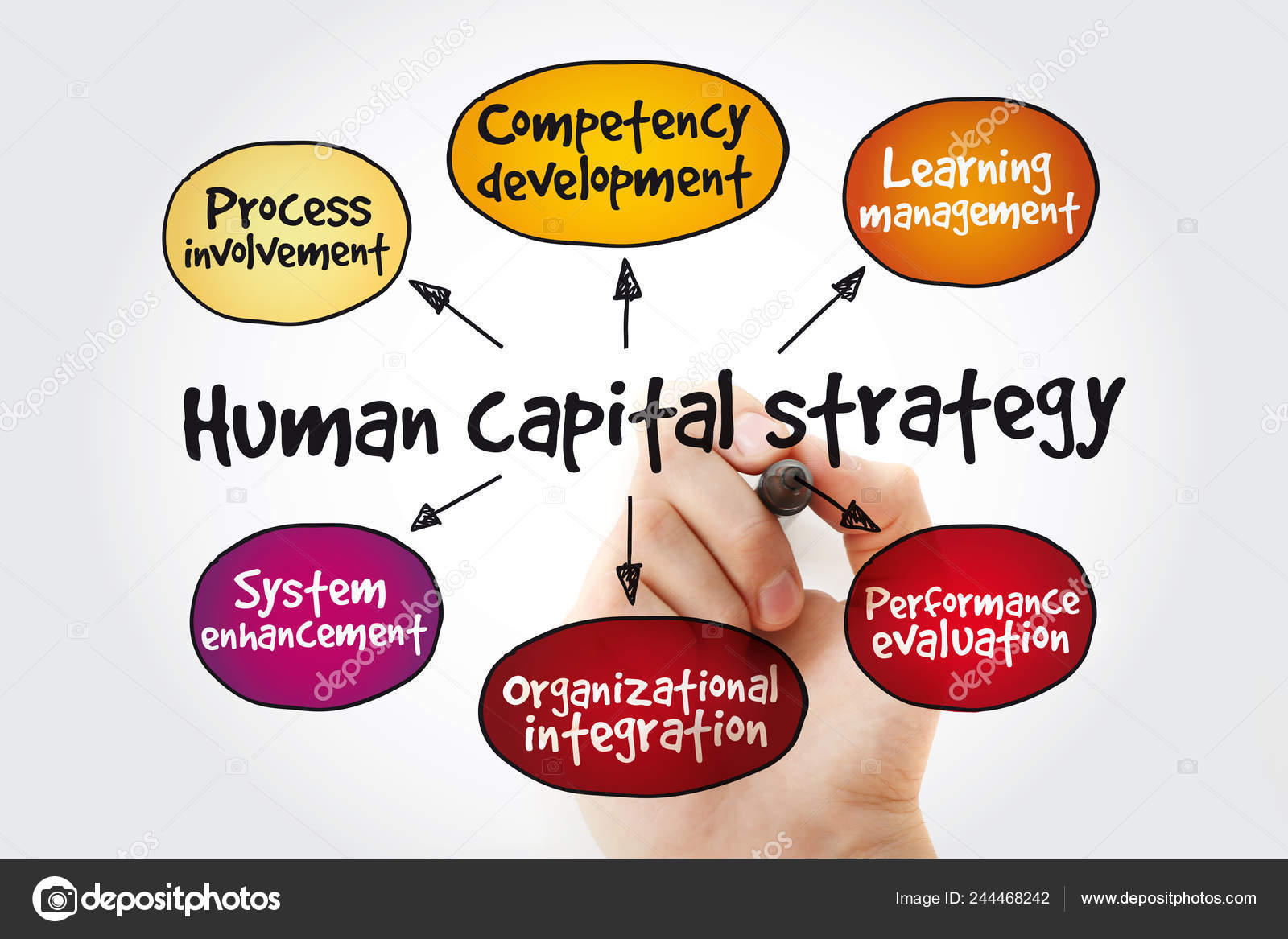 Human Capital Strategy Mind Map Marker Business Concept — Stock Photo © dizanna #244468242
