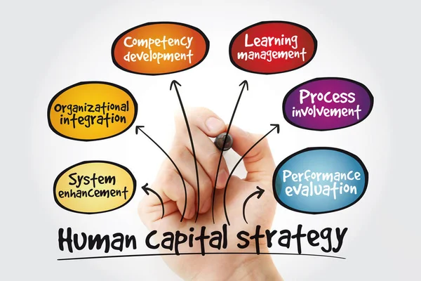 Human capital strategy mind map with marker, business concept - Stock ...